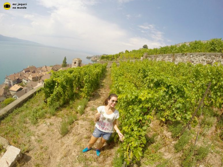 Lavaux, a região vinícola patrimônio da UNESCO na Suíça | Swiss ...