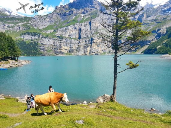 Lago Oeschinensee, um dos lagos mais fotogênicos da Suíça | Swiss ...